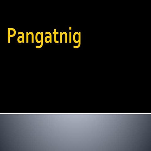 pantukoy_at_pangatnig.pptx