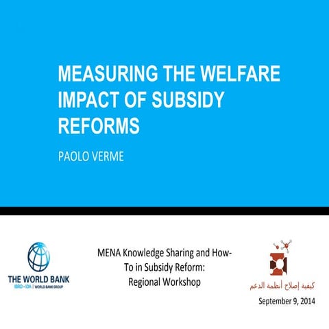 Measuring the Impact of Subsidy Reforms (EN) | PDF