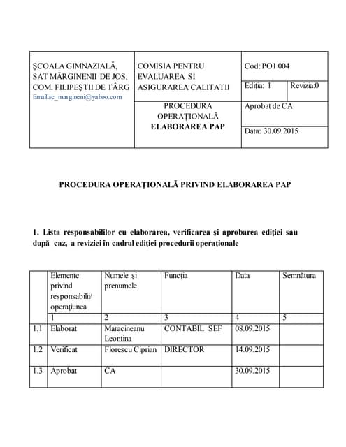 Raport de audit intern | DOCX