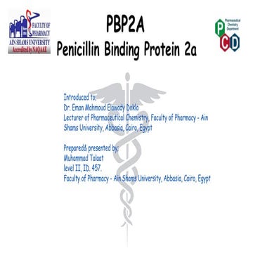 PBP2a | PPT