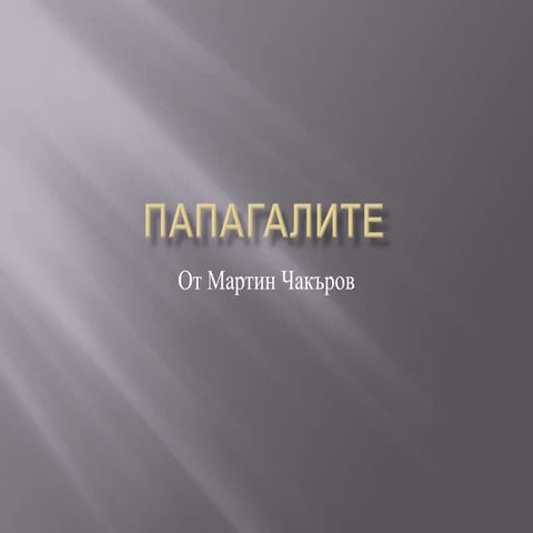 Papagalite ot martin-chakarov | PPTX