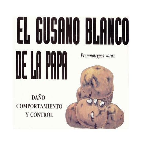 Papa gusano blanco | PPT