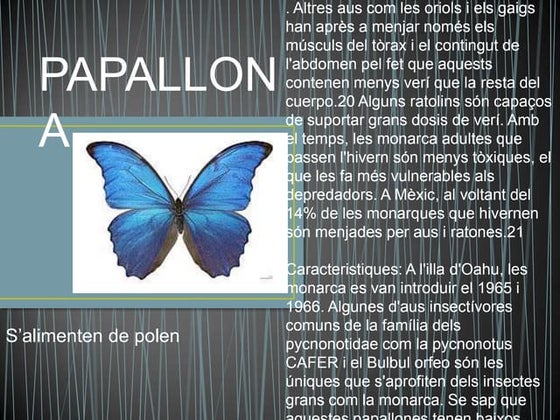 Aranya del desert | PPTX