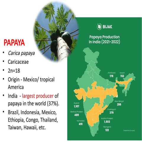Production Technology of Coconut - Soil type, Climate, Irrigation and ...