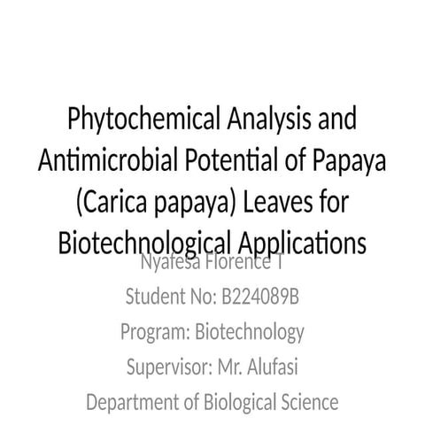 Papaya_Project_Presentation_with_Images.pptx