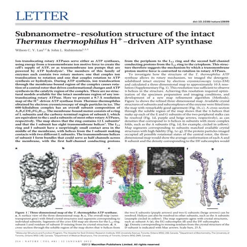 Atp synthase , Atp synthase complex 1 to 4. | PPTX