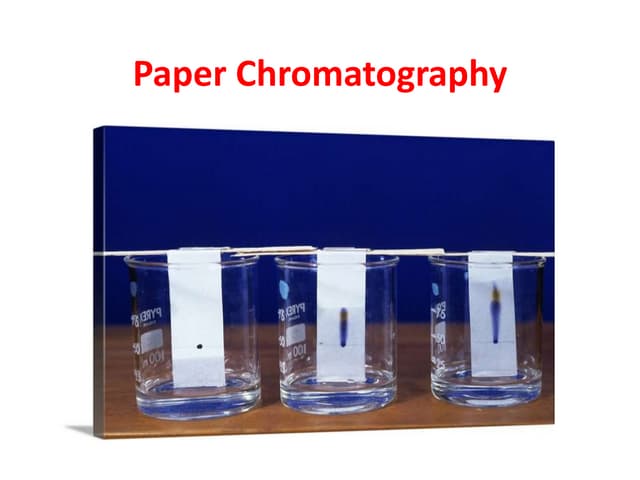 Paper chromatography of spinach leaf