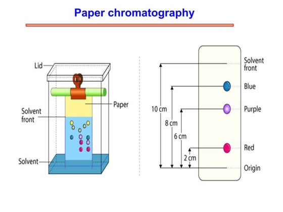 paper chromatography project class 12 | PDF | Chemistry | Science