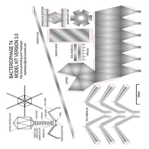 Papercraft virus | PDF