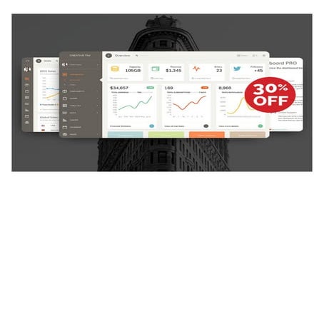 30% Off Paper Dashboard PRO Coupon Code | PDF