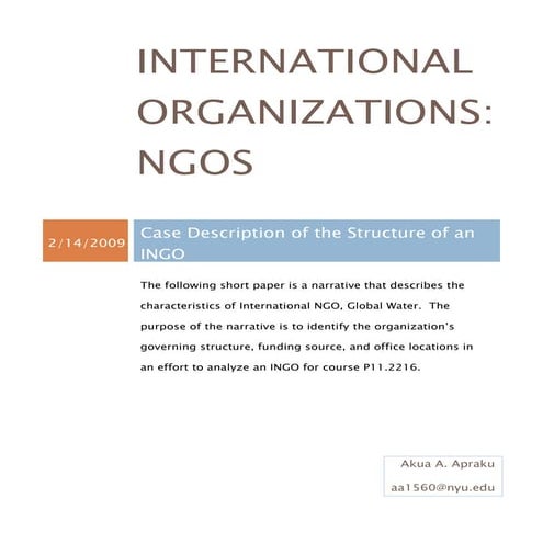 Case Study of an INGO | DOCX | Non-Profit Organizations | Industries