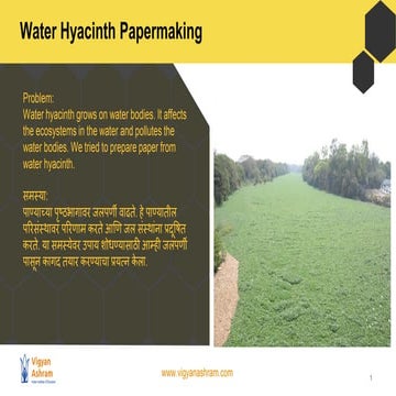 Paper making from Water Hyacinth | PDF