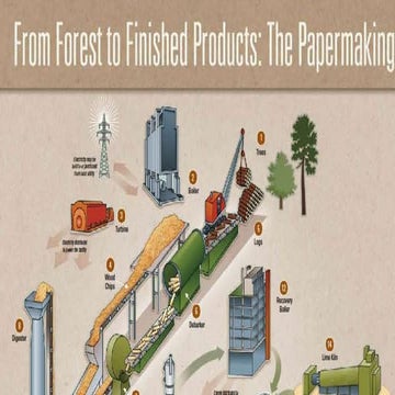 Paper making process | PPTX