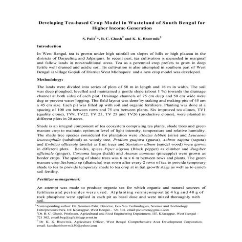 Paper on tea management | PDF