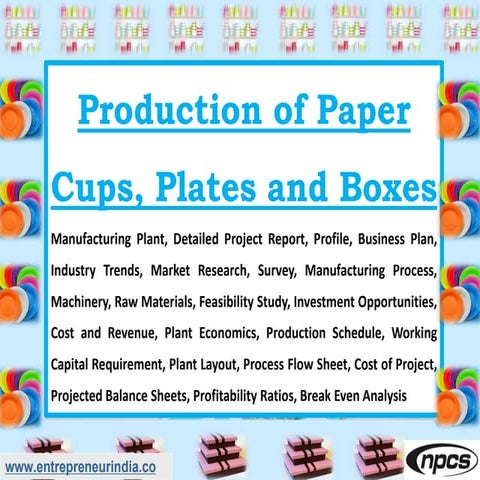 paper plates project report.pdf