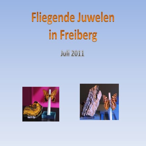 Flutura Dhe Miniera πεταλούδες και ορυχεία Pps