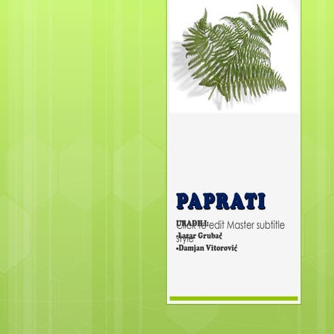 Paprati | ODP
