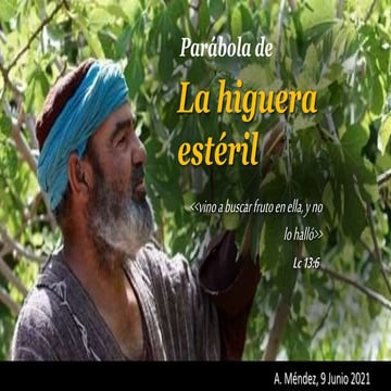 Parabola de la higuera seca, Lc 13:6 | PPTX