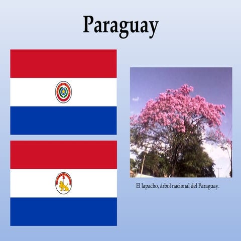 Paraguay | PPT