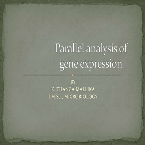 Parallel analysis of gene expression | PPT