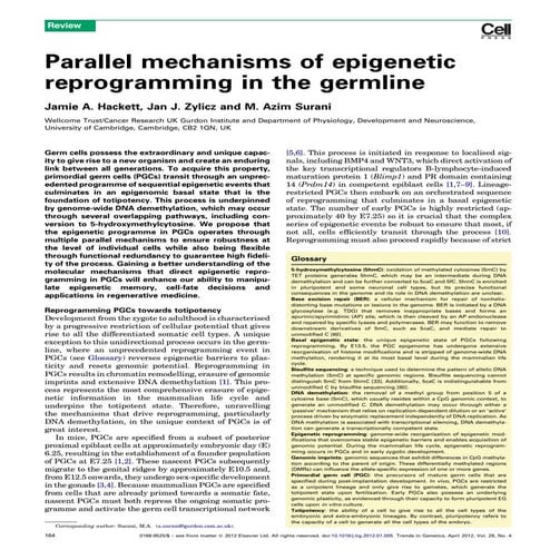 Parallel mechanisms of epigenetic reprogramming in the germline | PDF