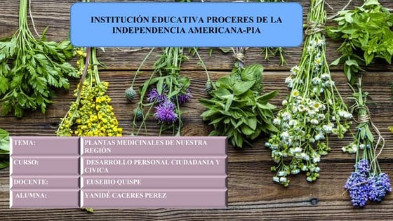 ACTIVIDAD DE APRENDIZAJE PLANTAS MEDICINALES - NORMA MONTES | PDF
