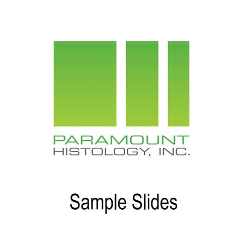 Paramount Histology: sample slides | PDF