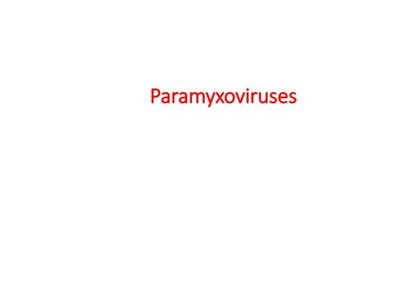 gram negative cocci.pptx