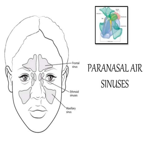 paranasal_air_sinuses.pptx