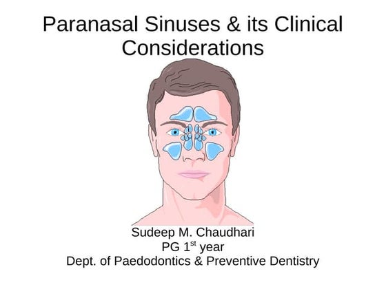 Anatomy of para nasal sinuses | PPT