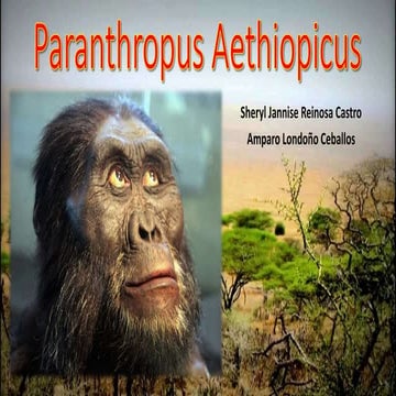 Paranthropus aethiopicus | PPTX