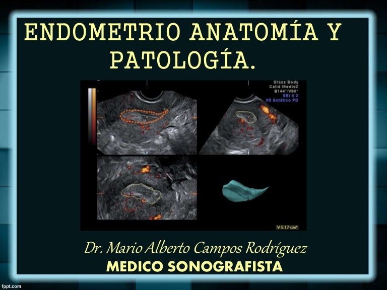 Endometrio, Ecografía y Patología