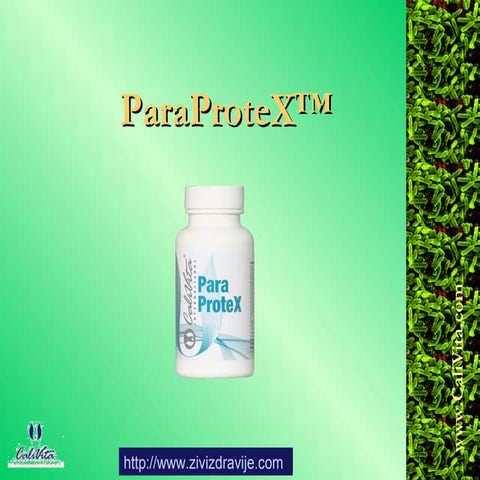 ParaProtex | PPT