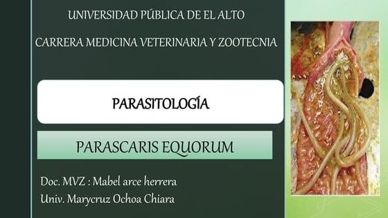 Taenia saginata | PPTX