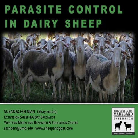Parasite control in dairy sheep | PPTX