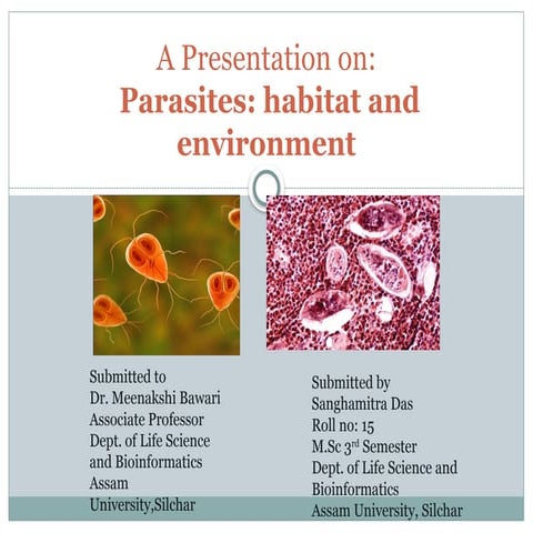 Parasite Habit and environment.pptxxxxxc | PPTX