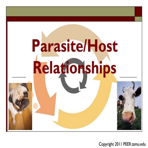 ParasiteHostRelationshipandLifeCycles.pdf | Free Download