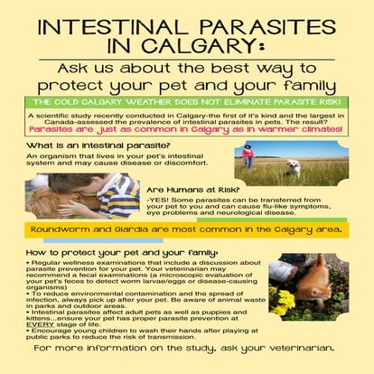 Intestinal Parasites | PDF