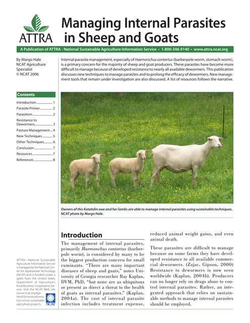 Small Ruminant Checksheet Quick Start | PDF