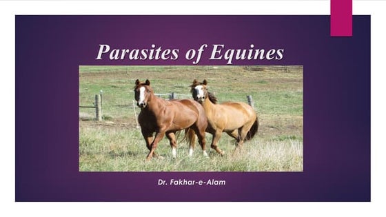 Comparative anatomy of forelimb of camel , ox and horse | PPTX