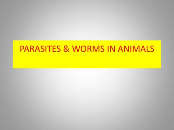Worms | PPT