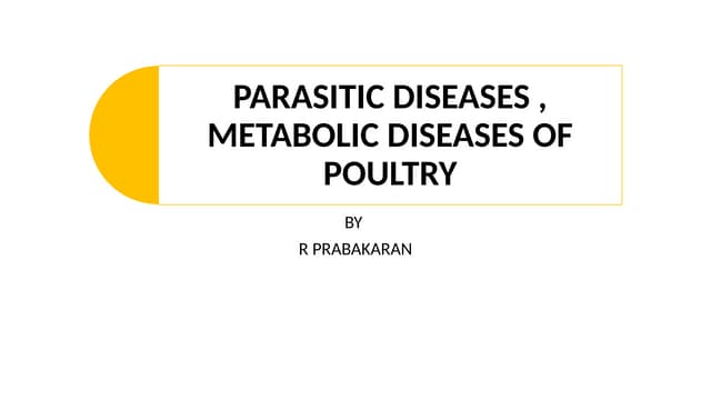 IBH in Poultry Dr. KHM | PPTX