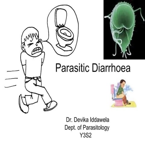 Parasitic diarrhoea | PPT
