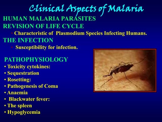 Malaria - Pathophysiology, Life-cycle | PPTX
