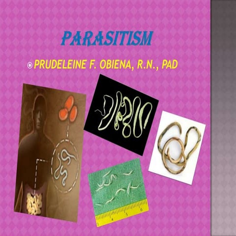 oplan alis bulate | PPTX