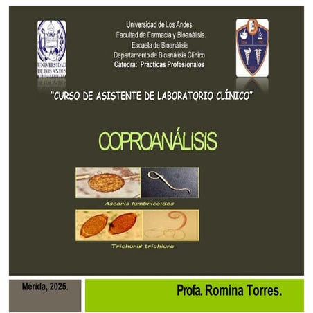 Paso a paso Coprología - Leidy Giraldo | PPTX