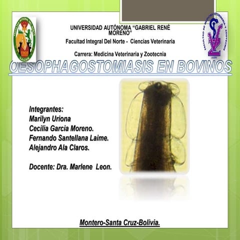 Bunostomum trigonocephalum | PPTX