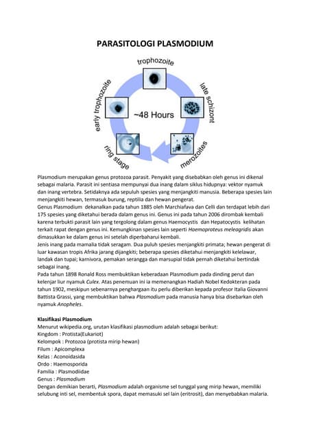 Plasmodium | PPT