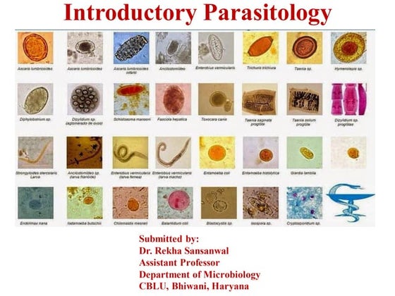 Introduction to nematodes | PPT