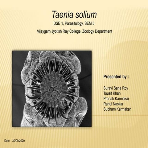 Taenia solium | PPTX